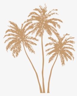 Transparent Gold Palm Tree Leaves , Free Transparent Clipart - ClipartKey