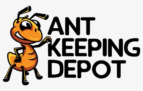 Logo Ant Football , Free Transparent Clipart - ClipartKey
