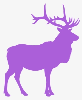 Estes Park Colorado Logo , Free Transparent Clipart - ClipartKey