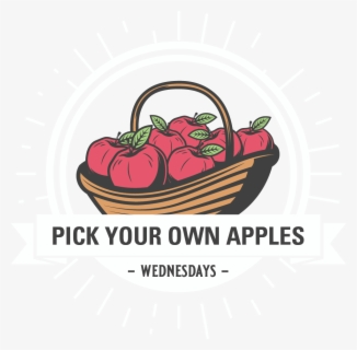 Pick Your Own Apples Clipart , Free Transparent Clipart - ClipartKey