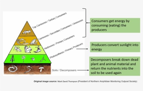 Producer - Triangle , Free Transparent Clipart - ClipartKey