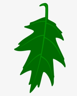 Clip Art Oak Tree Leaves Clip Art - Tree Leaves Vector Png , Free ...