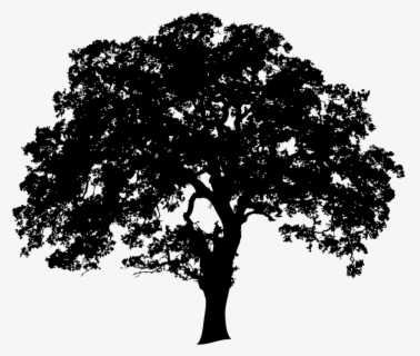 English Oak Tree Silhouette Clip Art - Oak Tree Silhouette Svg , Free ...