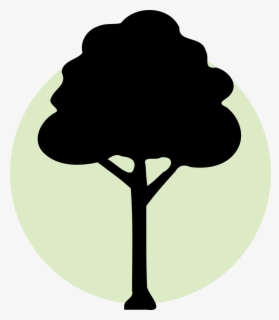 Shady Tree - Shade Clipart Black And White , Free Transparent Clipart ...