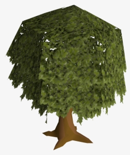 Black White Shade Tree Clipart - Tree Shadow Clipart Black And White ...