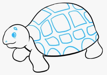 Amphibian Drawing Sea Turtle - Flatback Sea Turtle Drawing , Free ...
