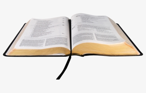 The Ivp Bible Background Commentary Niv, Cultural Backgrounds - Open ...