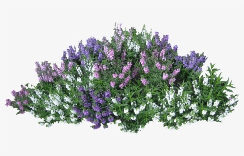 Bush Clipart Transparent Flower - White Rosal Clip Art , Free ...