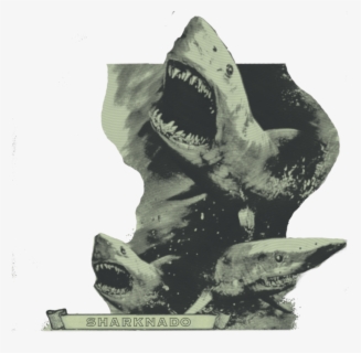 Cryptid , Free Transparent Clipart - ClipartKey