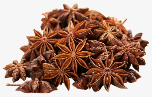 Star Clipart Bronze - Star Anise Clip Art Free , Free Transparent ...