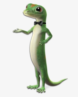 Transparent Geico Lizard Png , Free Transparent Clipart - ClipartKey