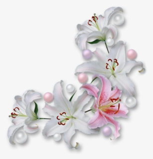 Lily Transparent Border - White Flower Corner Png , Free Transparent ...