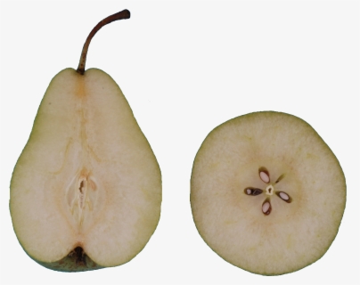 Asian Pear Png - Pear Png , Free Transparent Clipart - ClipartKey