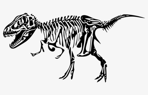 Transparent Background Dinosaurs Fossil Drawing Png , Free Transparent ...