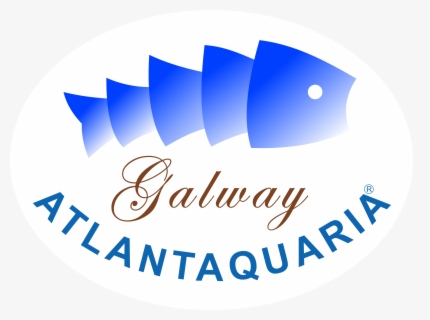 Galway Atlantaquaria Logos - Circle , Free Transparent Clipart - ClipartKey