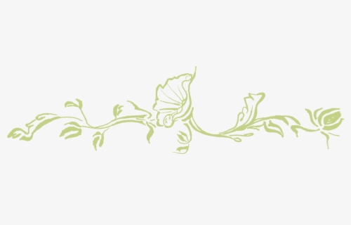 Transparent Horizontal Clipart - Flower Vine Clip Art , Free ...
