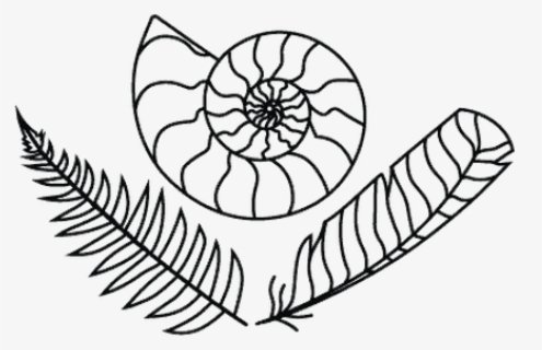Transparent Fern Clipart - Silver Fern Tree Drawing , Free Transparent ...