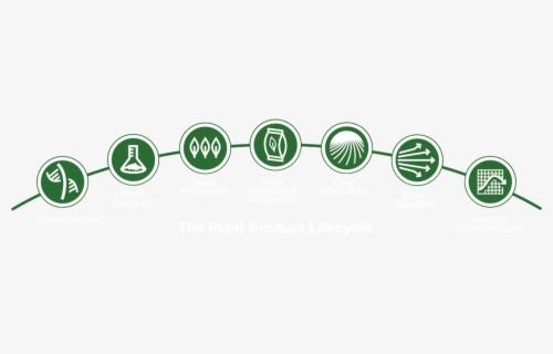 Graph Transparent Product Life Cycle - Plot , Free Transparent Clipart ...