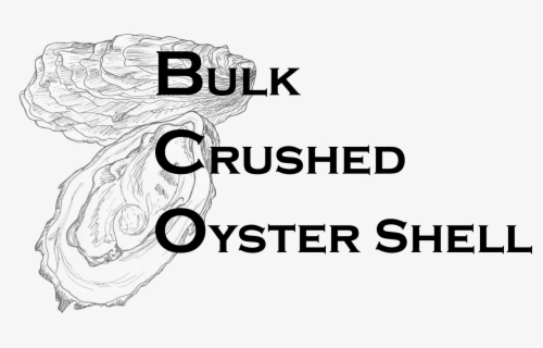 Heraldic Symbols Oyster Shell , Free Transparent Clipart - ClipartKey