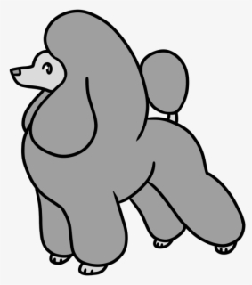 Toy Poodle Base - Cartoon , Free Transparent Clipart - ClipartKey
