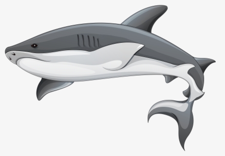 Sharks And Rays Icon , Free Transparent Clipart - ClipartKey