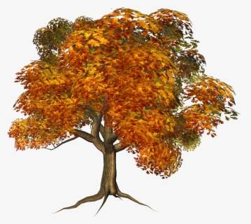 Diversity Clipart Tree - Fall Tree Transparent Background , Free ...