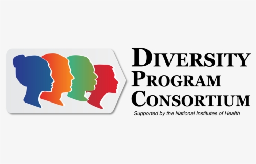 Diversity And Inclusion Icon , Free Transparent Clipart - ClipartKey