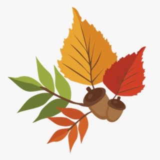 Free Acorns Clip Art with No Background - ClipartKey