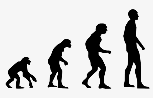 Evolution Theory , Free Transparent Clipart - ClipartKey