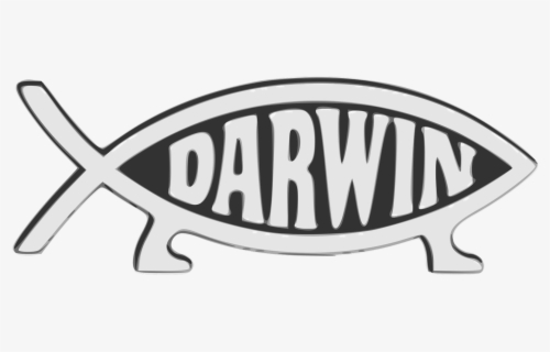 Darwin Bumper Sticker , Free Transparent Clipart - ClipartKey