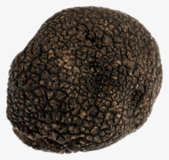 Chocolate Png Image - Chocolate Truffles Transparent Background , Free ...