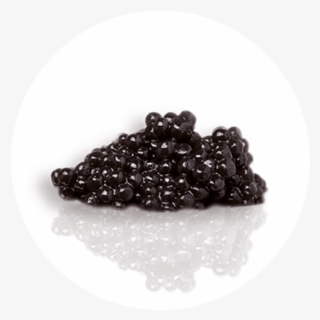 Transparent Caviar Png - Roe Caviar , Free Transparent Clipart - ClipartKey