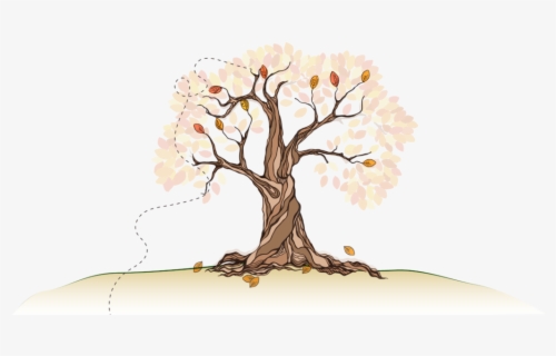 Illustrative View Of The Spread Of A Tree Root System - Different Tree ...