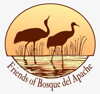 Flightless Bird , Free Transparent Clipart - ClipartKey