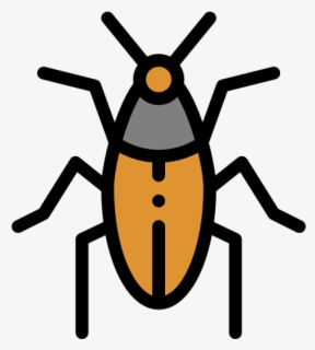 Weevil , Free Transparent Clipart - ClipartKey
