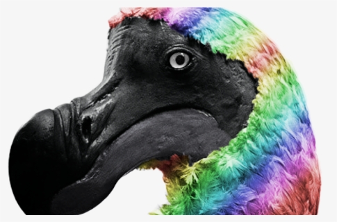 Dodo Walking Right - Dodo Png , Free Transparent Clipart - ClipartKey