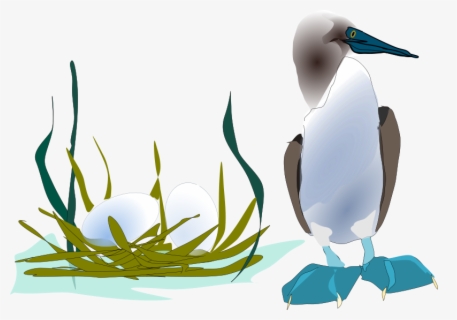 Pukeko Preschool-1 - Pukeko Bird Clip Art , Free Transparent Clipart ...