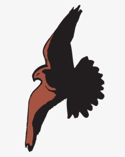 Free Hawk Clip Art with No Background - ClipartKey