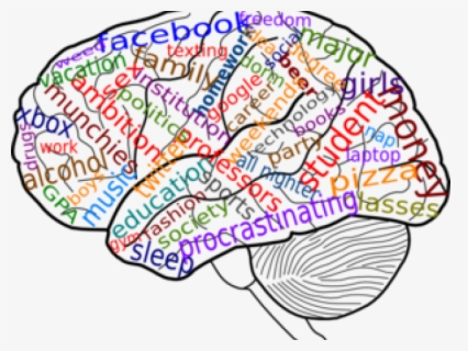 Distractions Cliparts - Blank Brain Diagram , Free Transparent Clipart ...