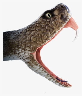 Transparent Snake Tongue Png - Snake Mouth Png , Free Transparent ...