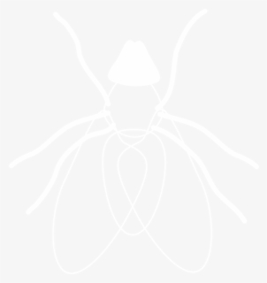 Clipart - Gnat Drawing - Insect Flies Clip Art Black And White , Free ...