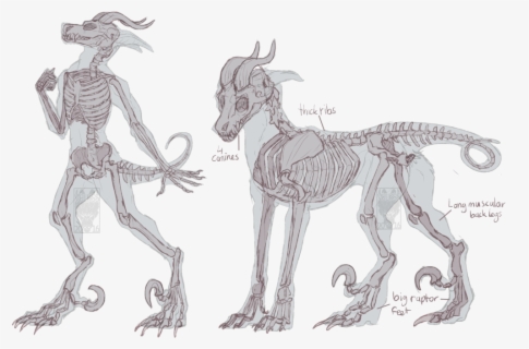 Drawn Bones Thick Leg - Feral Anatomy , Free Transparent Clipart ...
