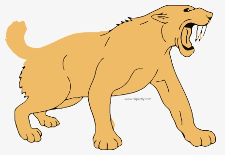 Sabre Tooth Tiger Art - Albino Saber Tooth Tiger , Free Transparent ...