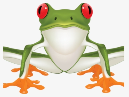 Red Eyed Tree Frog Clipart Tattoo - Green Tree Frog Clipart , Free ...