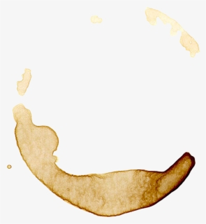 Clip Art Coffee Cup Stain - Coffee Ring Stain Png , Free Transparent ...