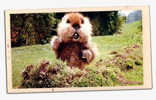 Caddyshack Gopher No Background , Free Transparent Clipart - ClipartKey