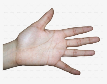 Human Hand Png - Hand Texture , Free Transparent Clipart - ClipartKey