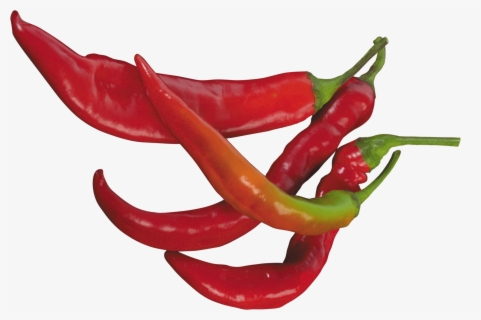 Free Chili Clip Art with No Background - ClipartKey