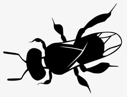 Australian Native Bee Drawing , Free Transparent Clipart - ClipartKey