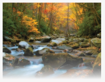 Transparent Water Stream Png - Stunning Nature High Resolution , Free ...